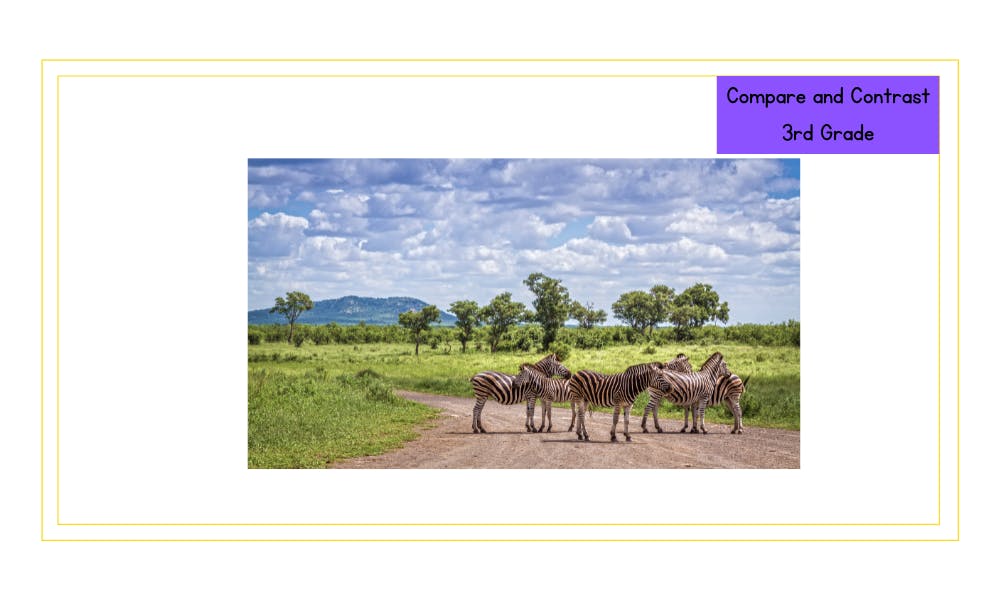 Reading Comprehension For 3rd Graders - Flashcards & Quizzes - Grammar