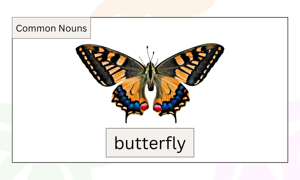 Kindergarten Noun Worksheets - Grammar