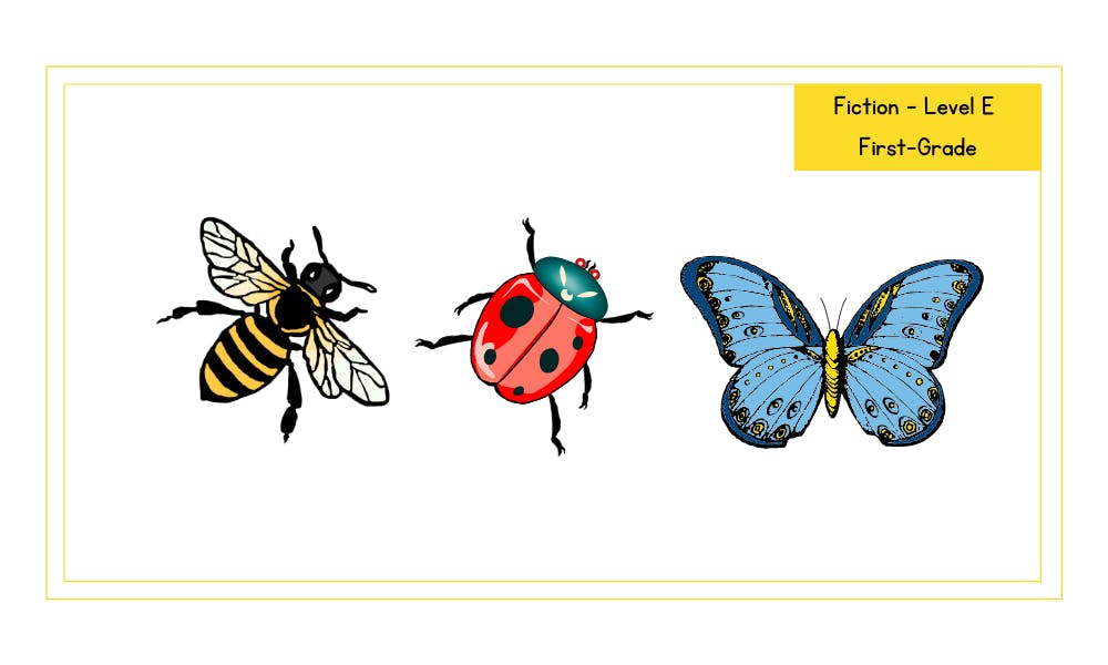 Reading Comprehension For 1st Graders - Quizzes and Flashcards - Grammar